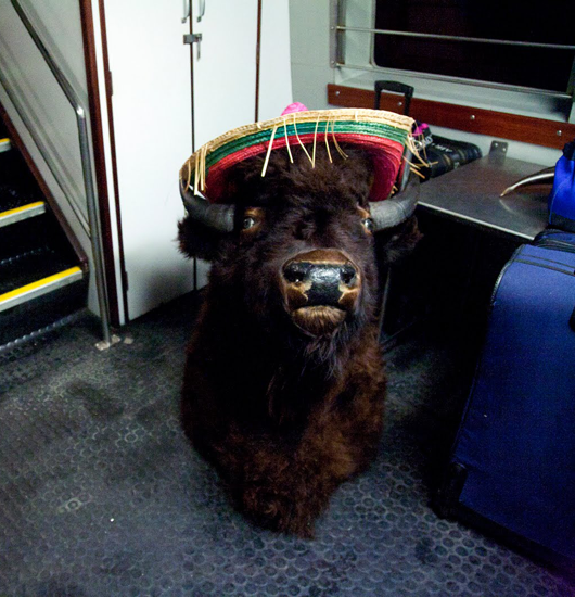 mexicanbuffalo – Honest Booze Reviews